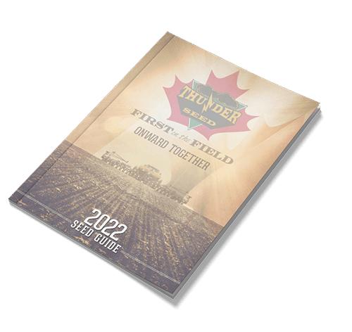 Thunder Seed Resources | Advanced Seed Solutions and Development